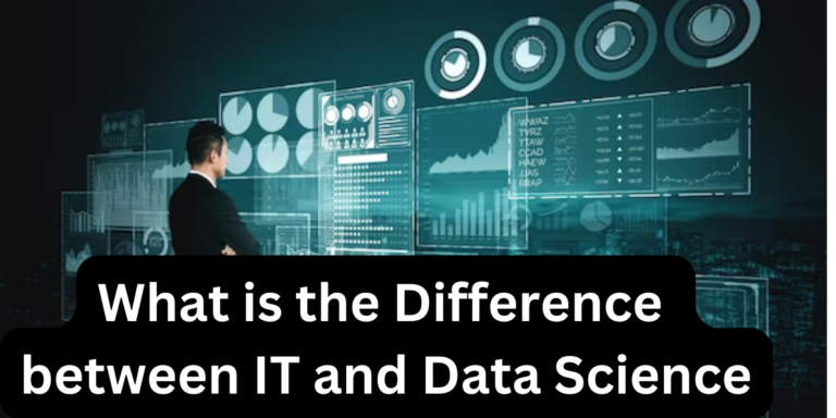 What is the Difference between IT and Data Science